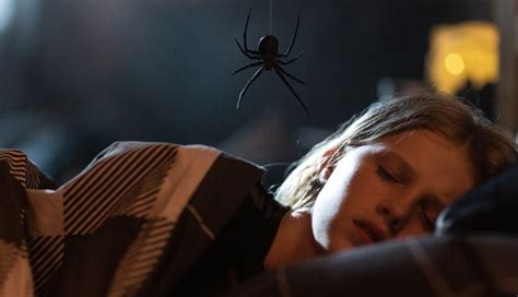 Sting ნაკბენი Nakbeni