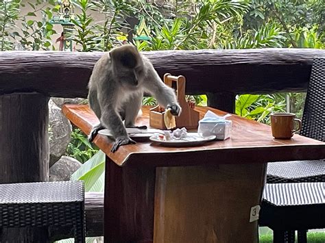 PRESTIGO ASIA (Hanoi) - All You Need to Know BEFORE You Go