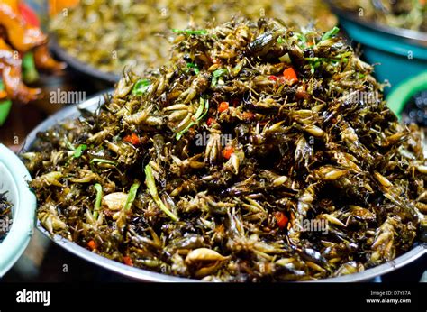 Insects On Sale By Street Vendor At Riverside Phnom Penh Cambodia Stock