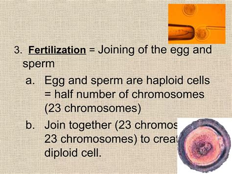 Asexual And Sexual Reproduction 404