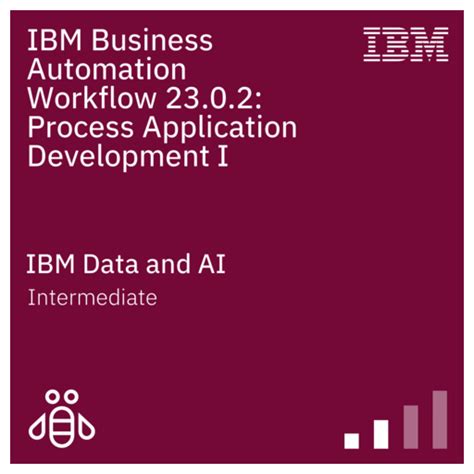 ibm business automation workflow 23 0 2 process application