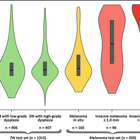 Violin Plot Illustrating The Distribution Of The Convolutional Neural
