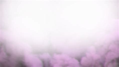 Universal Script Fly Roblox Scripts ScriptBlox