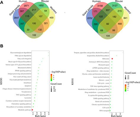 Comparative Transcriptome Analyses Of Immune Responses To Lps In