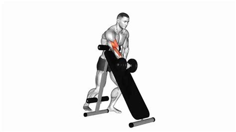 Dumbbell Standing One Arm Curl Video Guide Lyfta