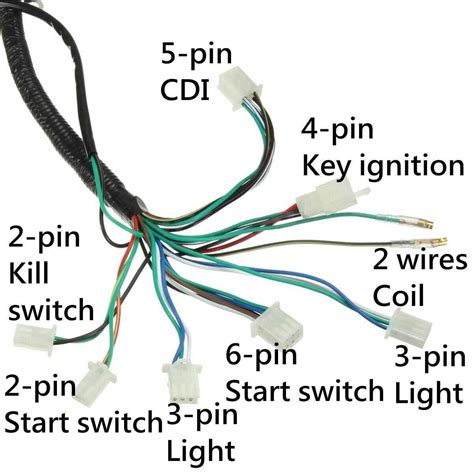 Unveiling The Wiring Harness Of A Tao Tao Atv