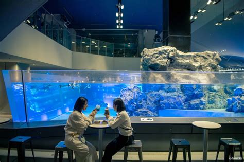 Sumida Aquarium In 2024 Whats New At The Aquarium Next To Tokyo