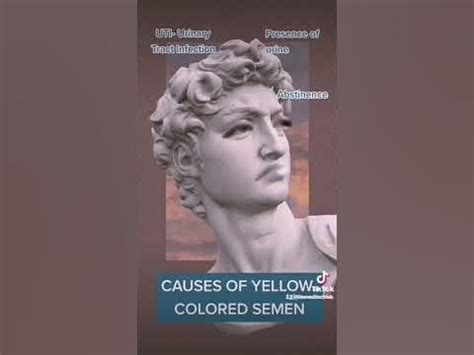 Causes Of Yellow Semen Laboratory Sperm Infection Std Youtube
