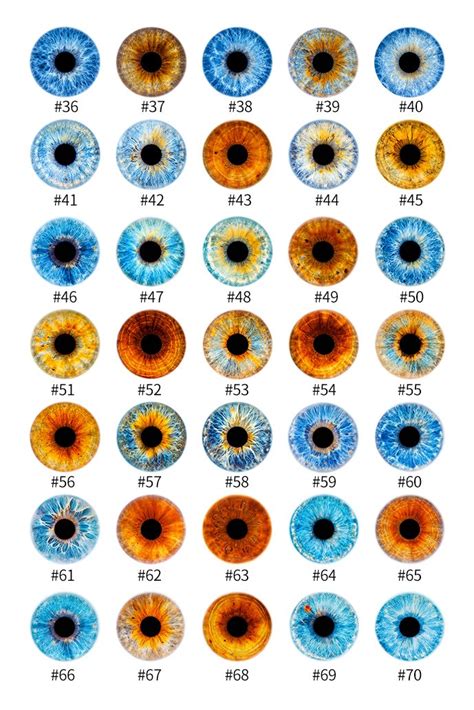 Custom Sex Doll Zlovedoll