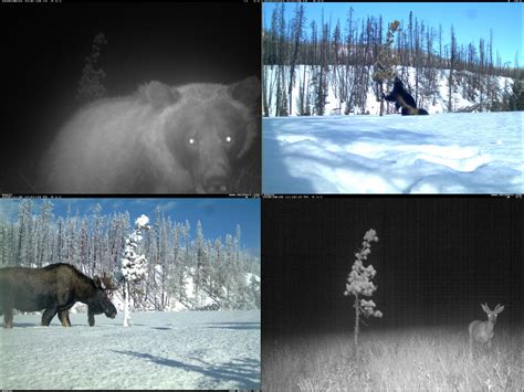 Temporal Resource Partitioning