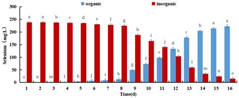 Inorganic Selenium Transformation Into Organic Selenium By Monascus Purpureus