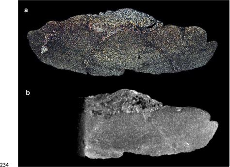 Open Access First Non Destructive Internal Imaging Of Rangea An Icon