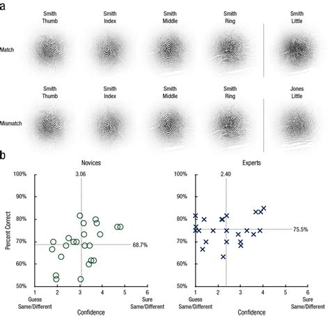 Examples Of Matching And Mismatching Lineups A The Results Of The Download Scientific