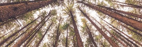 Python Hub Weekly Digest For