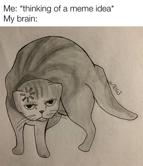 Drew The Loading Cat Meme R Dankmemes