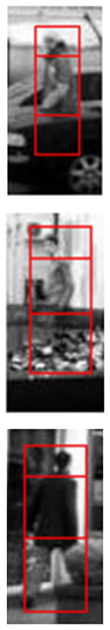 The Recognizing Results Of Different Algorithms On Pedestrian Database