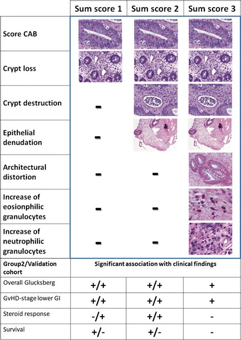 Sum Scores—association With Clinical Findings To Test Whether Sum