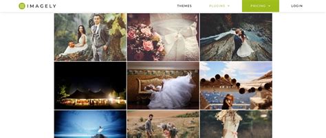wordpress nextgen gallery plugin review is it good for you wpeka