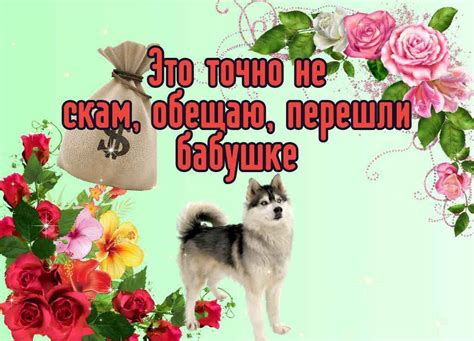 ПАЛАТА №6 ВОЛЖСКИЙ РАЙОН | Official group Только реальные истории ...