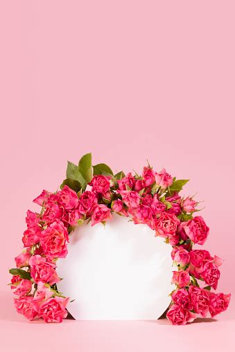 화장품 상품 광고 디자인 수직 복사 공간을위한 추상적 인 흰색 장면 모형에 흰색 둥근 아치의 부드러운 꽃 프레임으로 밝고 신선한 작은 스프레이 장미 스프레이 장미에 대한