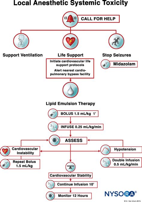 Local Anesthetic Systemic Toxicity Nysora
