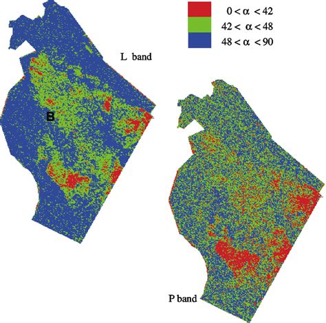 Once Entropy Anisotropy And α Angle Are Obtained For The L And Download Scientific Diagram