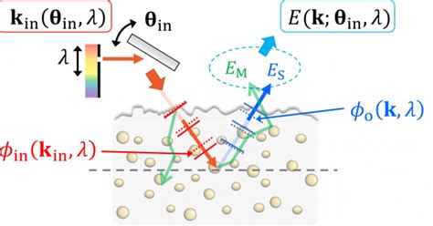 생체 조직 가장 깊히 들여다보는 새 현미경 개발···이미징 방해꾼 산란 역이용