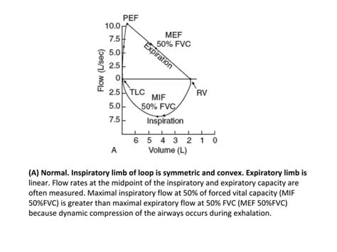 Flow Volume Loop PPT