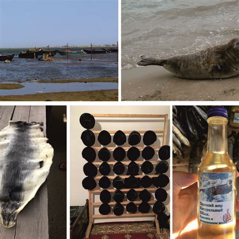 Sankey Plot Summarising Patterns Of Consensus And Divergence On Key Download Scientific Diagram