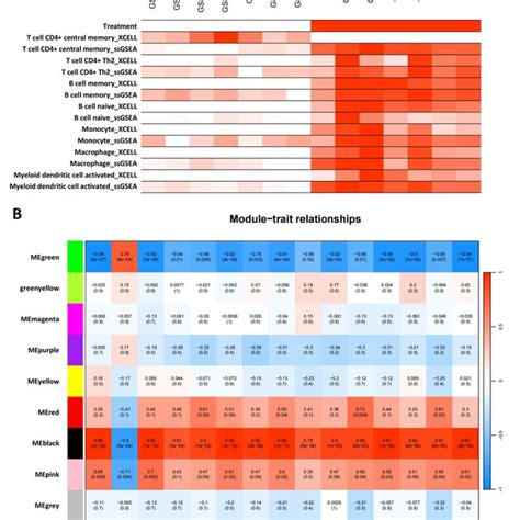 module correlation analysis a cluster dendrogram based on sample