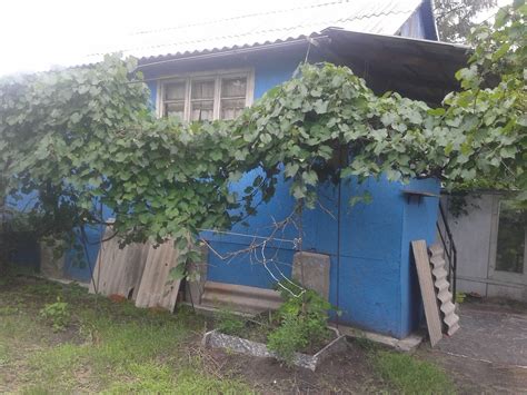 Оренда дачі Русанівські Сади 7 500 грн Довгострокова оренда будинків Київ на Olx