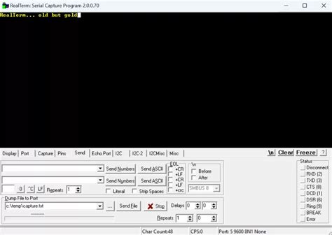 Realterm Serial Port Software
