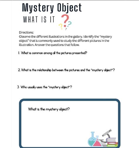 Mystery Object WHAT IS IT Directions Observe StudyX