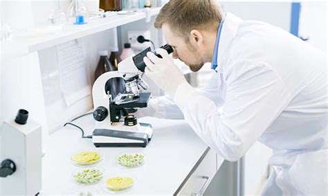 Microbiology Diploma Online Course And Certification