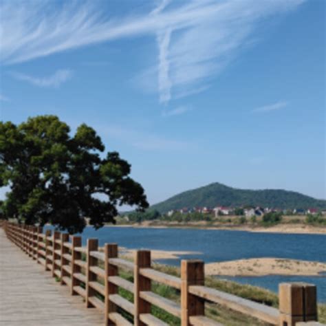 Jingwei Zhang Chinese Academy Of Sciences Beijing Cas Research Profile