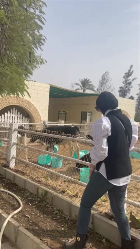 مزرعة دينا 🌼 للحجز ممكن تتواصلو معاهم على 👇🏼 0109 0107369 او تدخلو