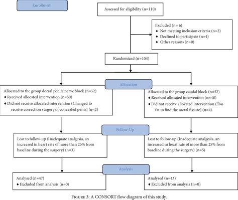 Figure 1 From Dorsal Penile Nerve Block Via Perineal Approach An Alternative To A Caudal Block