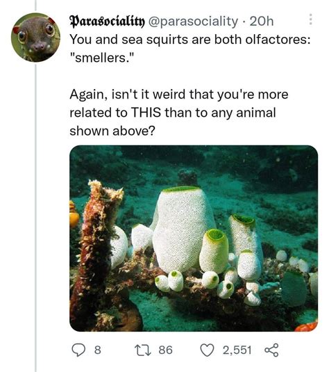 Biology On Tumblr