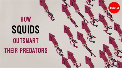 How Squids Protect Themselves