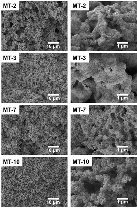Cross Sectional SEM Images Of Calcined Porous SiO2 Materials Fabricated Download Scientific