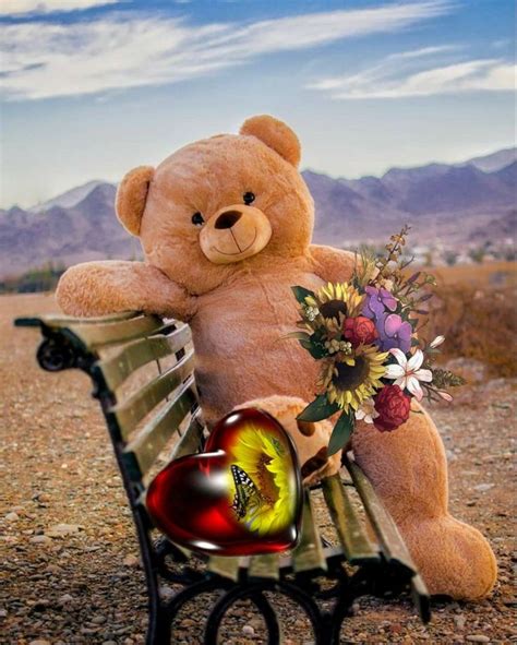Pin Di Strange James Su My Teddy Immagini Buon Compleanno Orso