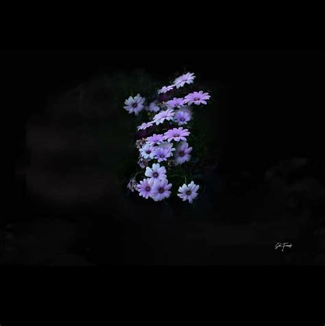 ဘုရား တရား သံဃာ မေတ္တာတရားနဲ့ နေသောသူသည် ဘာအန္တရာယ်မှ မရှိဘူး မေတ္တာလောက် ကောင်းသောအရာ