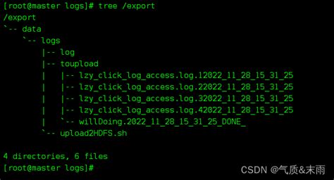 Hdfs Shell操作hdfs Shell操作命令 Csdn博客