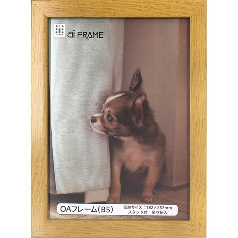 イワタ Ai Frame Oaフレーム B5 ピンク ブラウン ナチュラル ホワイト Joa B5 額縁 額縁・アルバム・雑貨の老舗 万丈 通販 Yahoo ショッピング