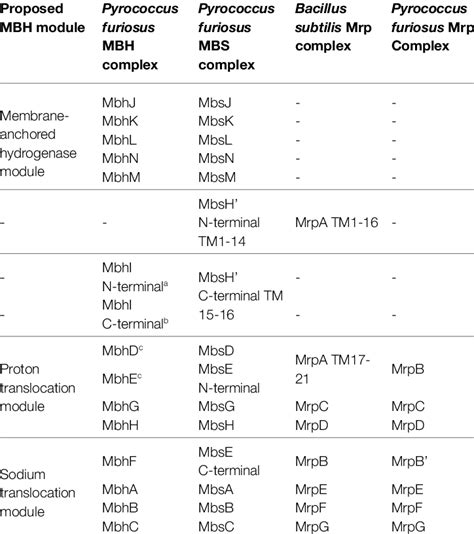 Subunit Homology Of Pyrococcus Furiosus Membrane Bound Hydrogenase Download Scientific Diagram