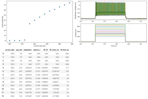 Patch Clamp Data Analysis In Python Action Potentials Spikes And Bursts