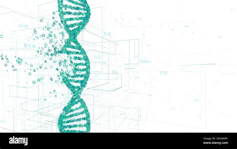 Deoxyribonucleic Acid DNA Molecule Illustration Stock Photo Alamy