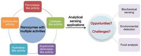 Review Nanozyme Multipleactivities Cascadecatalysis Analyticalapplication Sensing
