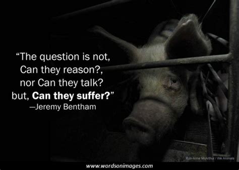 Jeremy Bentham Utilitarianism Quotes Quotesgram
