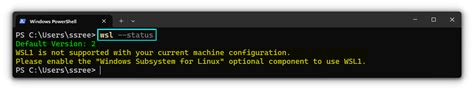 Basic WSL Commands You Should Know